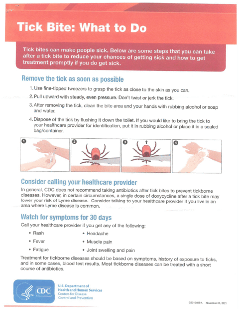 Tick Bites | Charlestown Retirement Community Residents
